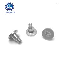 China Stainless Steel Internal Hexagonal Eccentric Rivets For Door Window Construction Hardware for sale