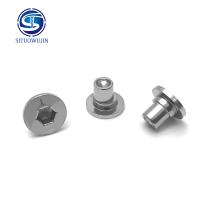 China 304 316 Eccentric Rivets Sliding Support Connection Pieces Door Hardware  DIN 2462 for sale