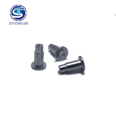 China Customized Flat Extended Rivets Hinge Sliding Support Precision Hardware DIN ANSI for sale