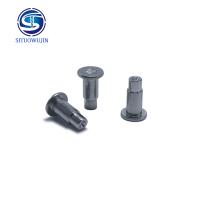 China Customized Flat Extended Rivets Hinge Sliding Support Precision Hardware DIN ANSI for sale