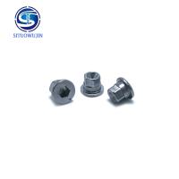China Premium Stainless Steel Window Sliding Stay Hinge Rivet with Smooth Dome Head and Adjustable Hex Socket Structure for Building Hardware for sale