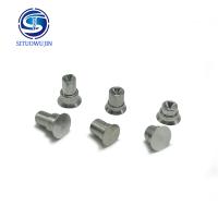 China Cold Forged SUS304 Flat Head Step Rivet with Custom Non-Standard Step Structure and Precision Flat Head Design for sale