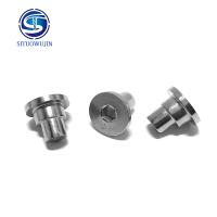 China Stainless Steel Hex Socket Eccentric Rivet Adjustable Hinge Rivet with Precision Finishing for Window & Door Hardware for sale