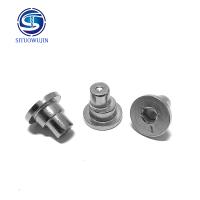 China Stainless Steel Hex Socket Eccentric Rivet Adjustable Hinge Rivet with Precision Finishing for Window & Door Hardware for sale