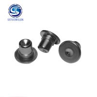 China Custom SUS304 Stainless Steel Rivet, Cold Forging & CNC Machined Rivet for Architectural Hardware, Smart Bracket, Slide Brace and Guide Rail Riveting Fixing for sale