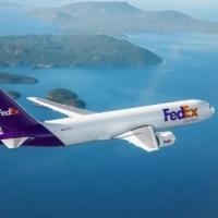 China Online Ecommerce Logistics Services Providers System China Yiwu To Ireland Japan for sale