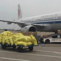 China Flight Ships From Shanghai To Australia Door To Door FCL Shipping Agency Ups Ddp Service for sale