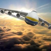 China Air Sea Import Freight Forwarding Process From China To Italy Netherlands Spain for sale