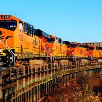 China Goods Railway Freight Forwarder Fedex China To Canada Sweden DDP DDU for sale