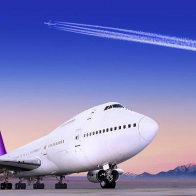 China Project Import Freight Forwarding Services Broker DDP Sea Shipping From Shanghai China To France Amazon for sale