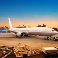 China Express Forwarder FCL Sea Freight Container Ocean Transportation Agent From China To Mexico Canada for sale