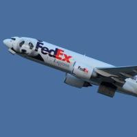China Overseas Door To Door International Shipping UPS Air Freight FedEx From Shanghai China To Israel for sale