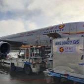 China Shanghai China To United States Transportation Ddp Door To Door Cargo Delivery Services for sale