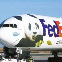China EXPRESS Delivery To France Ups DHL Fedex Door To Door International Shipping for sale