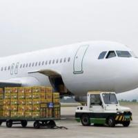 China 50 Kg DHL FEDEX UPS International Shipping From China To USA Canada for sale