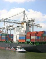 China DDP International Shipping Dhl From China To Germany Railway FBA Warehousing for sale