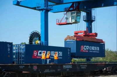 China Logistics Shipping From Shanghai To Australia By Sea DDP International Shipping for sale