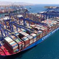 China 20gp Cheap Sea Freight Lcl And Fcl Shipping From China To USA EU Australia FOB EXW DDP for sale