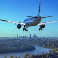 China Fedex International DDP Air Freight CNF Shipping EXW FEDEX From China To Brazil Lebanon for sale