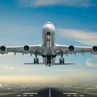 China Dhl  2-4 Day Shipping Freight Forwarder Company From SHANGHAI China To American for sale