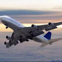 China Airport From SHANGHAI NINGBO China To United States Amazon FBA Dropshipping Oder for sale