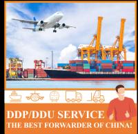China Sea Freight Shipping From China To Polish DDP Delivered Duty Paid Service for sale