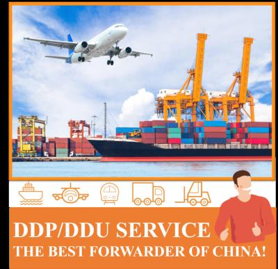 China Sea Freight Shipping From China To Polish DDP Delivered Duty Paid Service for sale