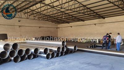 China SS 304 Diameter 12