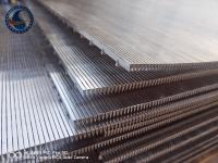 China Customizable 304SS Wedge Wire Screen Panel 0.02mm Slot Opening for sale