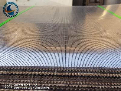 China Customizable 304SS Wedge Wire Screen Panel 0.02mm Slot Opening for sale