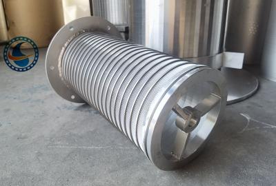 China Ss304 Fito Wedge Wire Screen Filter Food Processing for sale