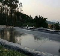China 1.5mm Waterproof HDPE Dam Liner Geomembrane Sheet 22N Tensile Yield Strength for sale
