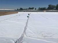 China Customized Non Woven Geotextile Fabric 300g m2 for Separation Filtration and Reinforcement for sale