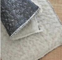China ASTM Waterproof Bentonite Geosynthetic Clay Liner Blanket 4000 gsm for Landfill for sale