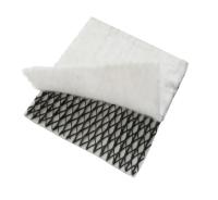 China High Density Composite Drainage Network Geotextile Drainage Geonet for sale