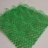 China Auxiliary Engineering Reinforced 3D Geomat Geonet material for sale