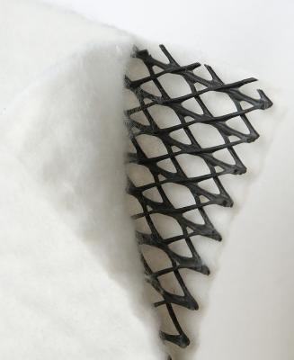 China Nonwoven 3D Composite Drainage Network Geonet Geotextiles for sale