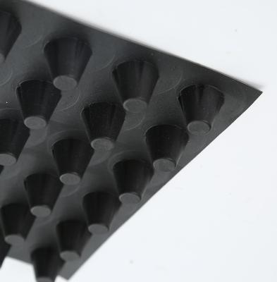 China HDPE Plastic Drainage Board 600N Tension Corrosion Resistance Dimple Board for Road and Reservoir Drainage for sale