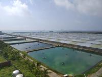 China HDPE Geomembrane Liner 0.75mm Fish Pond Impermeable for Farm Construction for sale