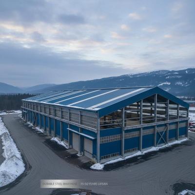 China Customizable Steel Structure Warehouse with 50-Year Lifespan and Snow Load Adaptability for sale