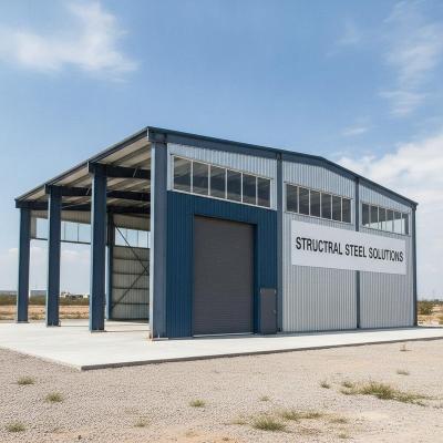 China Customized Color Steel Framed Buildings Designed With Portal Frame H Column And Rafter And Painted Or Galvanized Surface Processing For Performance for sale