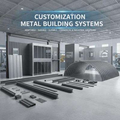 China Customization Metal Building Systems solutions perfect for adaptable durable commercial industrial building requirements for sale