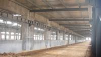 China Heavy duty steel structrue factory workshop with overhead cranes steel frame workshops for sale