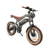 China 1000W Fat Tire Electric Bike With 48V Battery M20 Long Range Ebike for sale