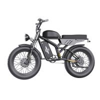 China Reliago F3 Pro Max 48V 2000W Dual Motor Fat Tire Electric Motorcycle 20 Inch Long Range 55Ah E-Bike for sale