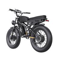 China Reliago F3 Pro Max 48V 2000W Dual Motor Fat Tire Electric Motorcycle 20 Inch Long Range 55Ah E-Bike for sale