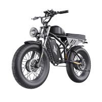 China Reliago F3 Pro Max 48V 2000W Dual Motor Fat Tire Electric Motorcycle 20 Inch Long Range 55Ah E-Bike for sale