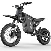 China Reliago X0 3000W Electric Mini Bike 60V 23Ah High Power Off-Road Electric Motorcycle for sale