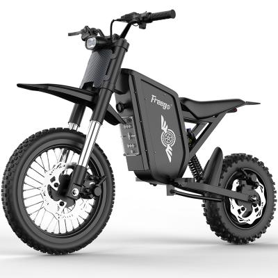 China Reliago X0 3000W Electric Mini Bike 60V 23Ah High Power Off-Road Electric Motorcycle for sale