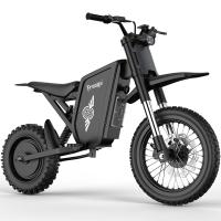 China Reliago X0 3000W Electric Mini Bike 60V 23Ah High Power Off-Road Electric Motorcycle for sale